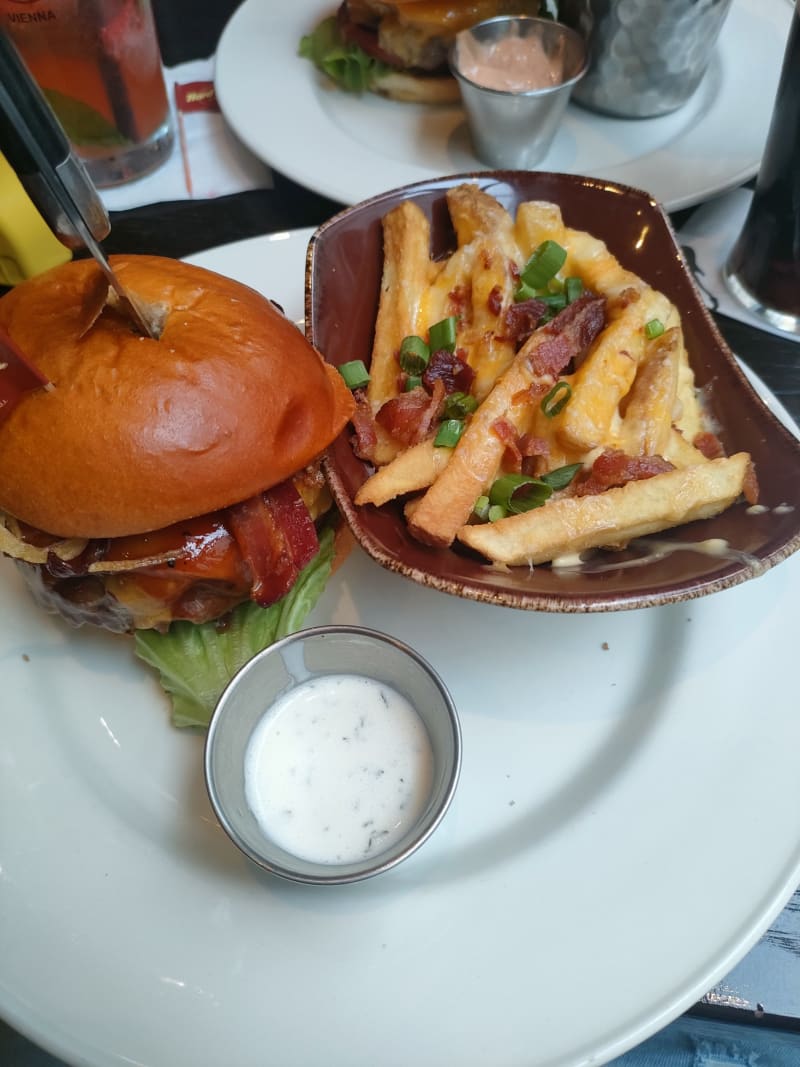 Hard Rock Café Vienna in Wien - Bewertungen, Speisekarte und Preise ...