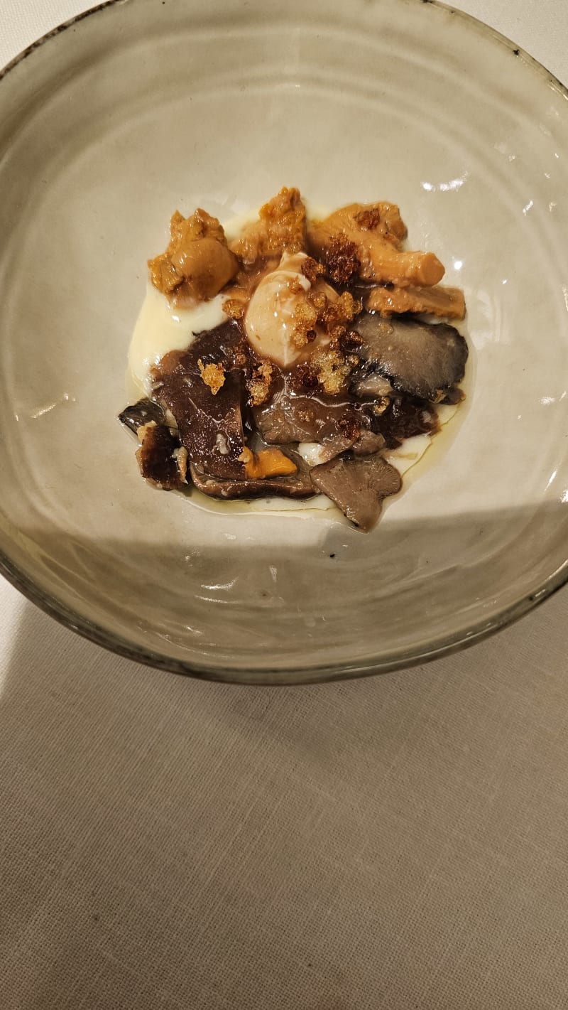 Restaurante El Doncel en Sigüenza - Menú 2024, opiniones, precios y ...