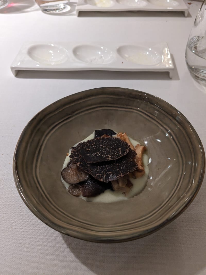 Restaurante El Doncel en Sigüenza - Menú 2024, opiniones, precios y ...