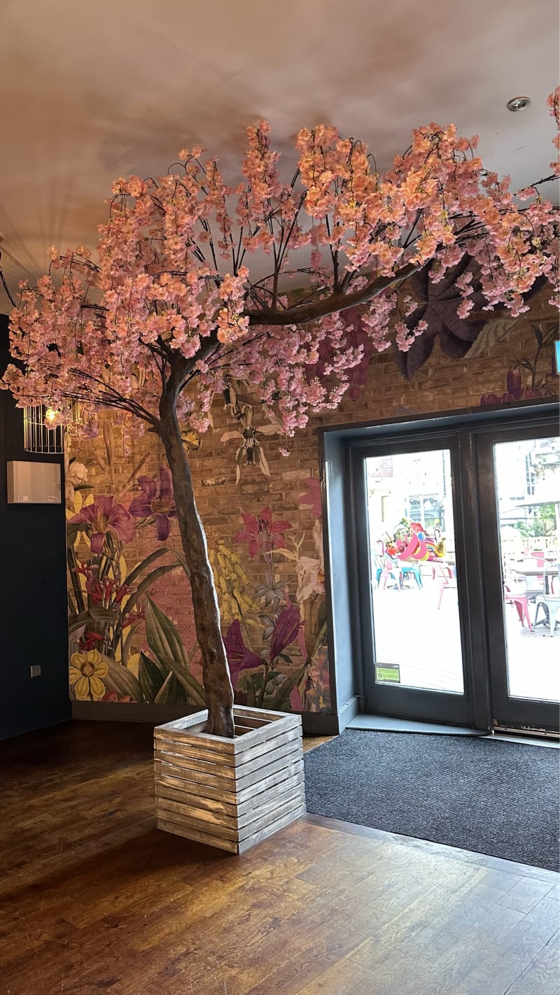 Slug & Lettuce Bristol City Centre in Bristol - Restaurant Reviews ...
