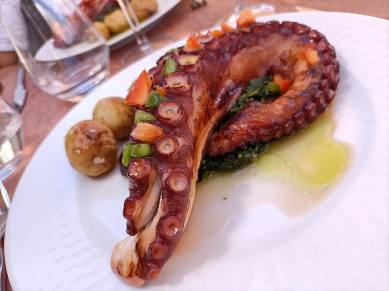 Fish Fish in Porto - Restaurant Reviews, Menu and Prices | TheFork