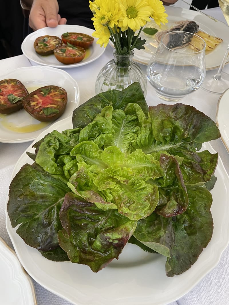 Cibrèo Ristorante in Florence - Restaurant Reviews, Menu and Prices ...