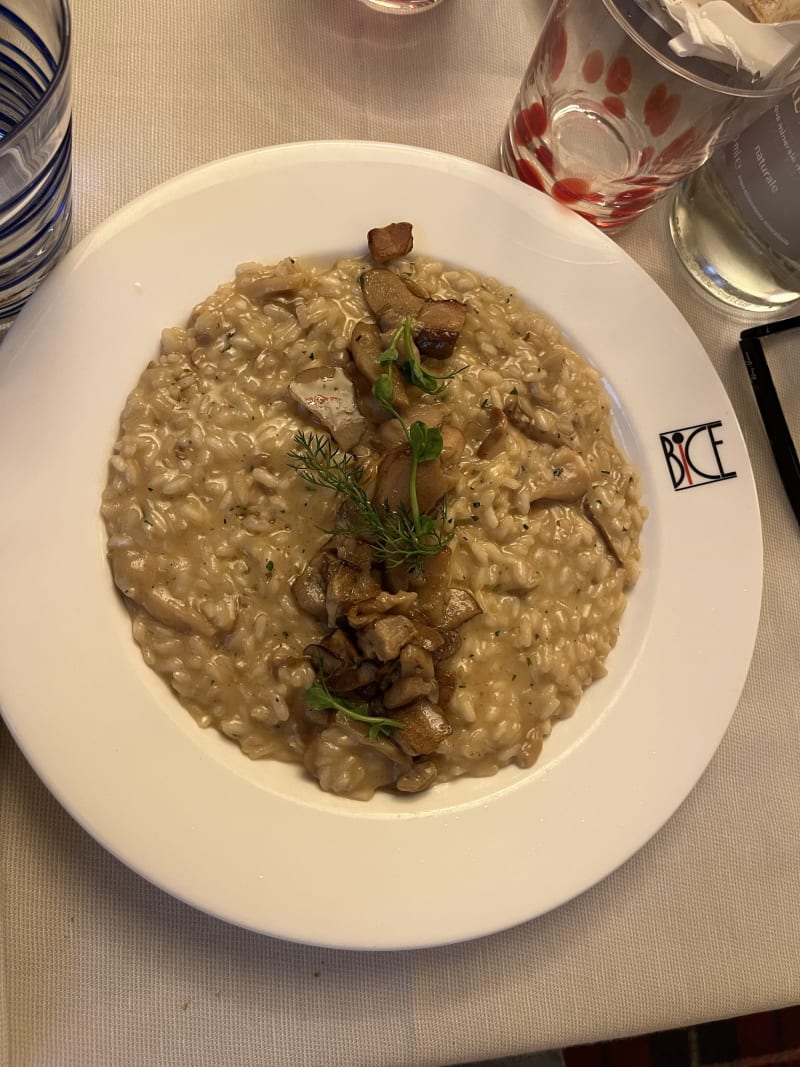 Bice Milano a Milano - Menu, prezzi, immagini, recensioni e indirizzo ...