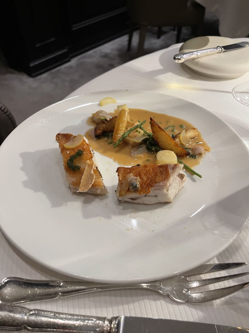 Restaurant Au Crocodile à Strasbourg - Menu, avis, prix et réservation | TheFork