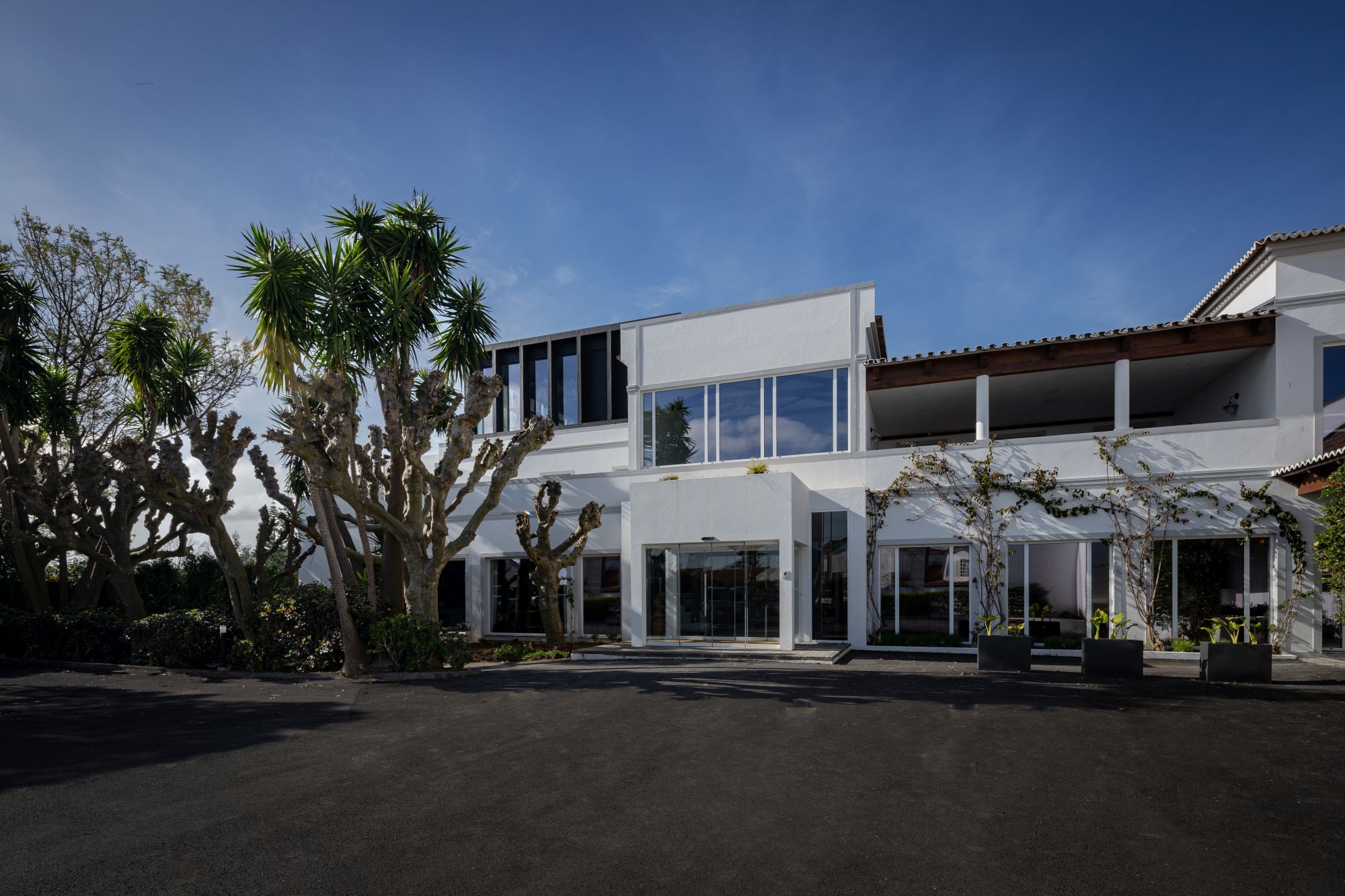 Mirante Rooftop Bar in Ponta Delgada - Restaurant Reviews, Menu and ...