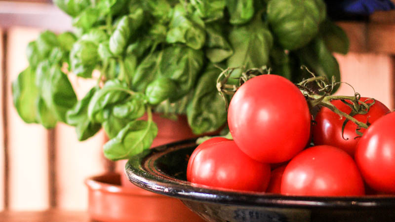 Los Che in Kampen - Restaurant Reviews, Menu and Prices - TheFork