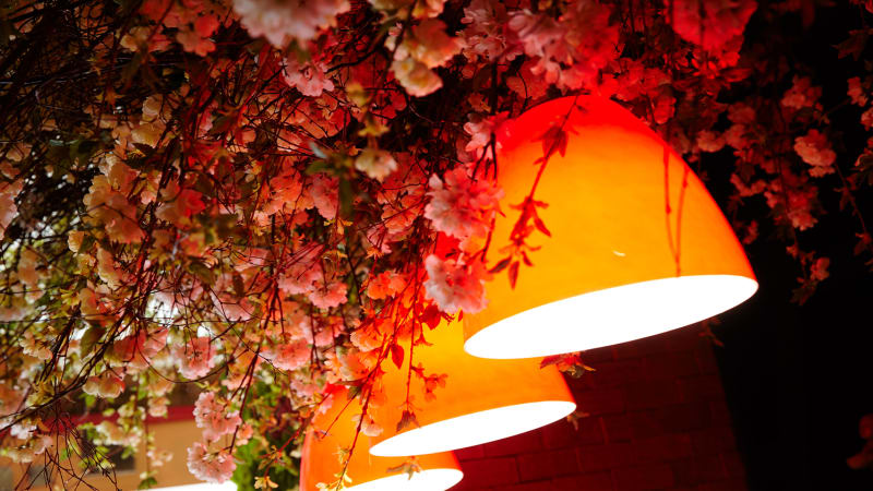 Thai Square The Strand in London, Blackfriars & Temple, Charing Cross ...