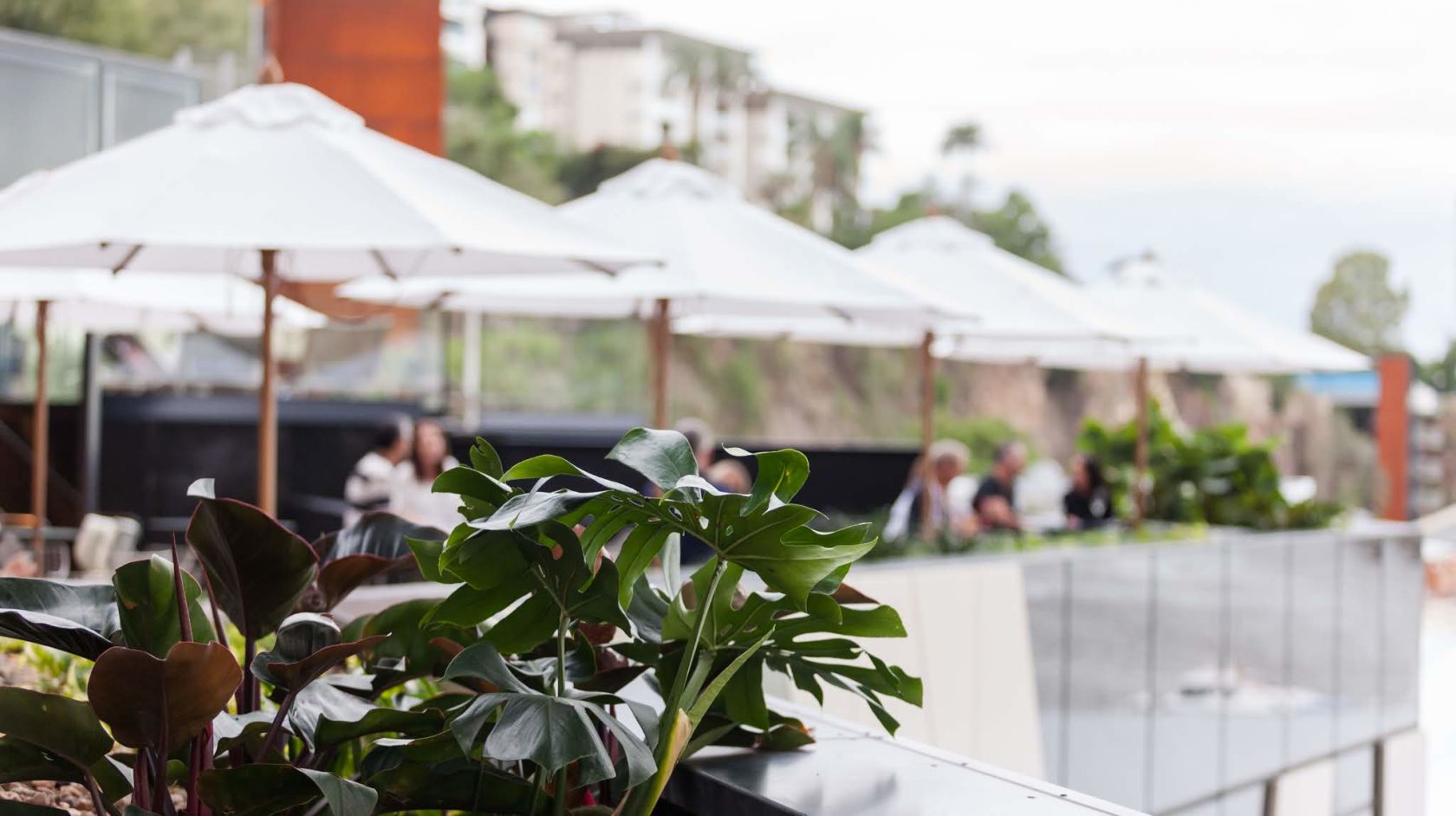 Fiume Rooftop Bar In Brisbane QLD Restaurant Reviews Menus And fiume-rooftop-bar-in-brisbane-qld-restaurant-reviews-menus-and