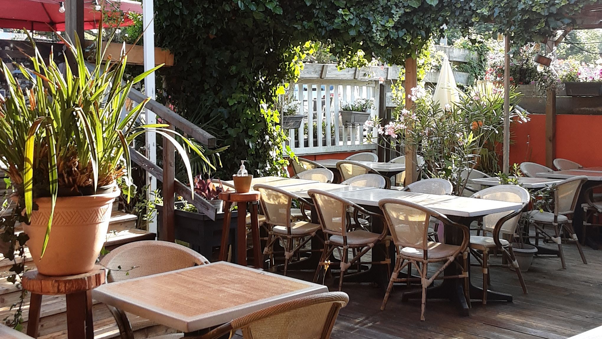 Le Ratatouille a Léon - Menu, prezzi, immagini, recensioni e indirizzo ...