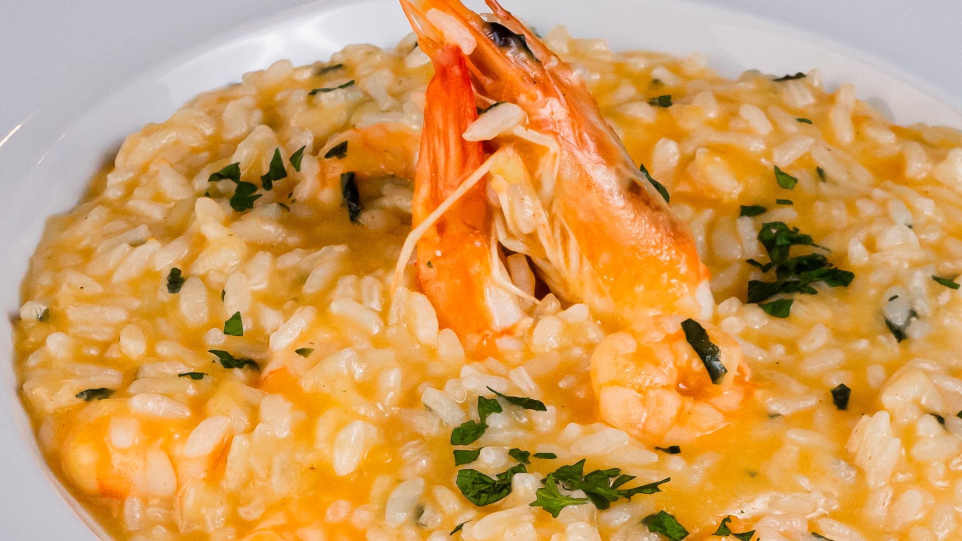 Nosolo Italia Porto em Porto - Preços, menu, morada, reserva e ...