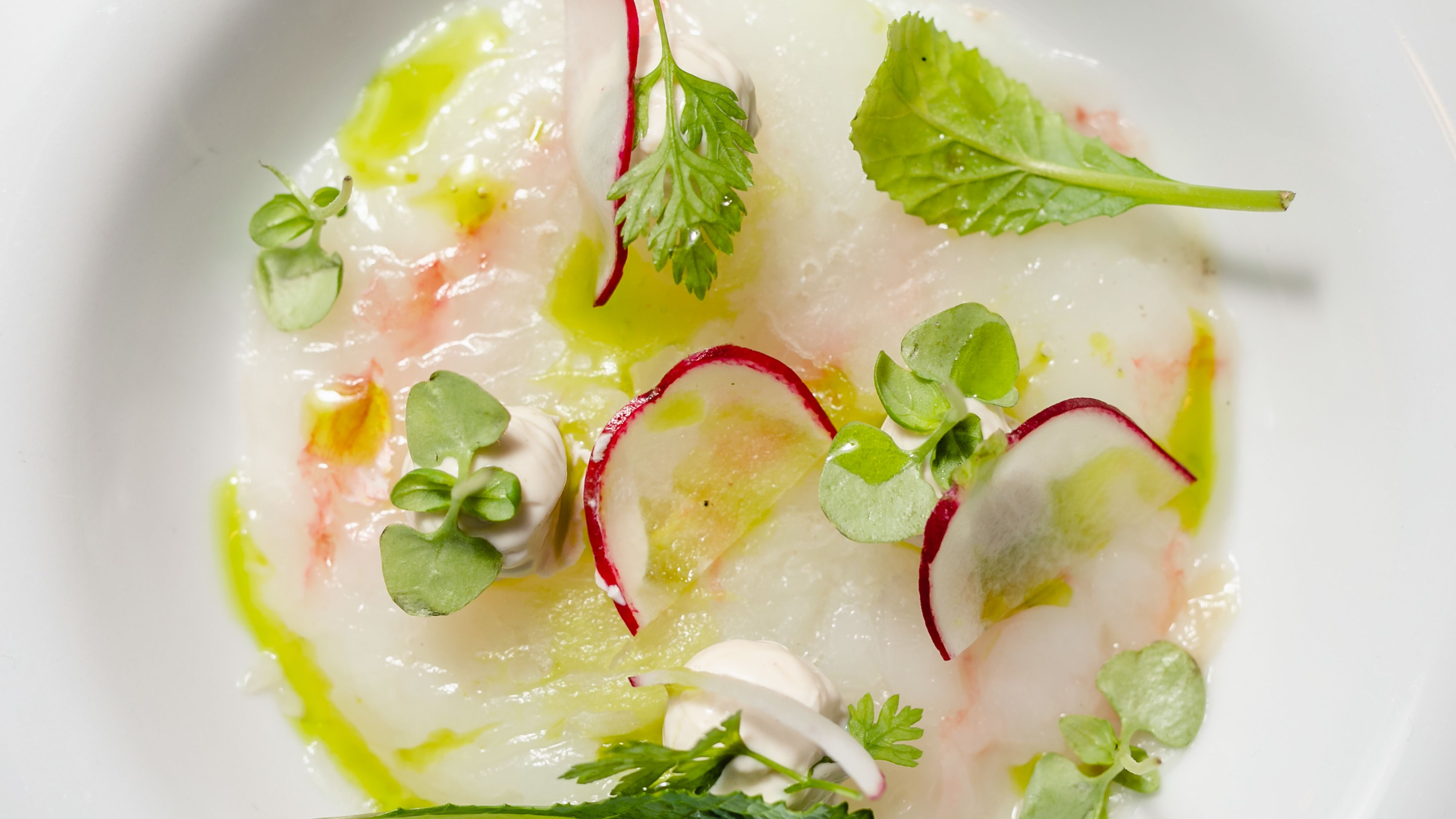 Bianca Maria Restaurant & Lounge Bar in Milan - Restaurant Reviews ...