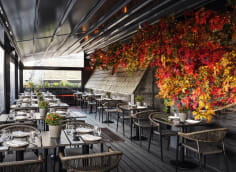 Inca London in London - Restaurant Reviews, Menus, and Prices | TheFork