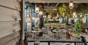 Menus 2022 - Madera at Treehouse Hotel in London | TheFork