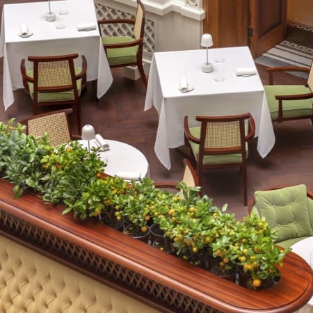 Menus 2025 - Saison at Raffles London in London | TheFork