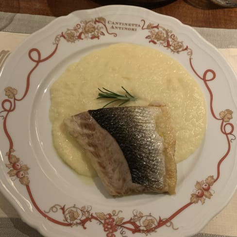 Cantinetta Antinori Firenze in Florence - Restaurant Reviews, Menu and ...