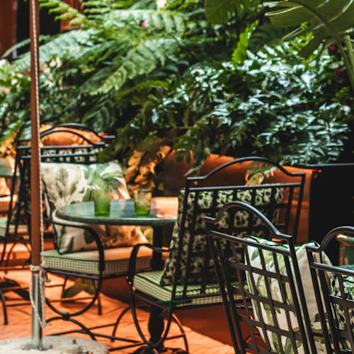 Bougain Avenida in Lisbon - Restaurant Reviews, Menu and Prices | TheFork