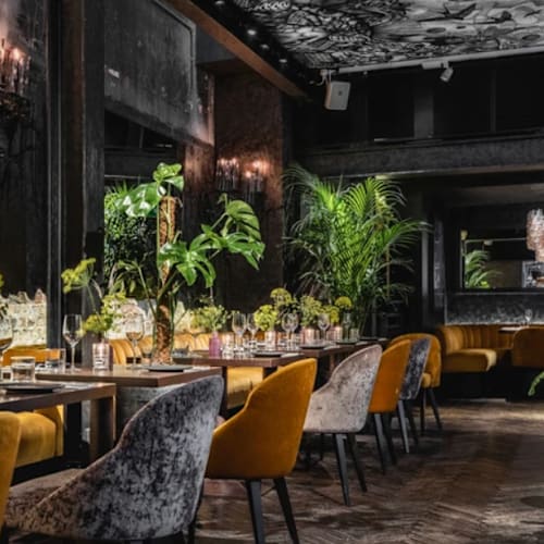 Yopo in London - Restaurant Reviews, Menus, and Prices | TheFork