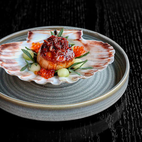 Carte et Menus 2025 - Noted à Chester | TheFork