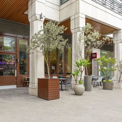 Massis Paddington in London - Restaurant Reviews, Menus, and Prices ...