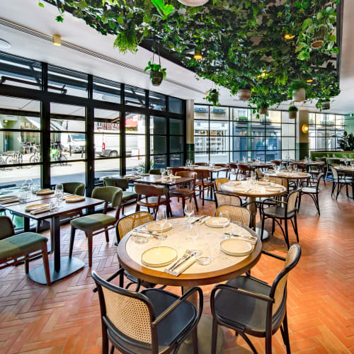 Olea Social in London - Restaurant Reviews, Menus, and Prices | TheFork