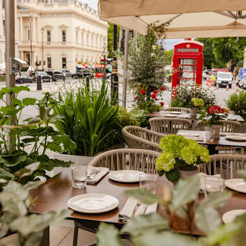 Claro London in London - Restaurant Reviews, Menus, and Prices | TheFork