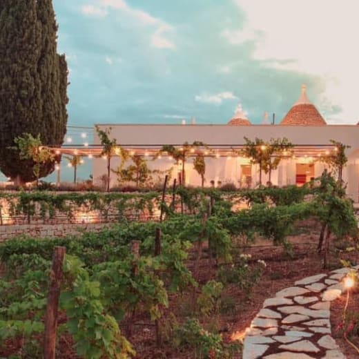 Carte et Menus 2025 - Il Trullo di Ninó à Martina Franca | TheFork