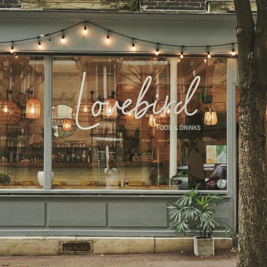 Menus 2025 - Lovebird Saint-Cloud in Saint-Cloud | TheFork