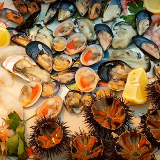 Menus 2025 - Trattoria da Cris e Mery in Cossato | TheFork