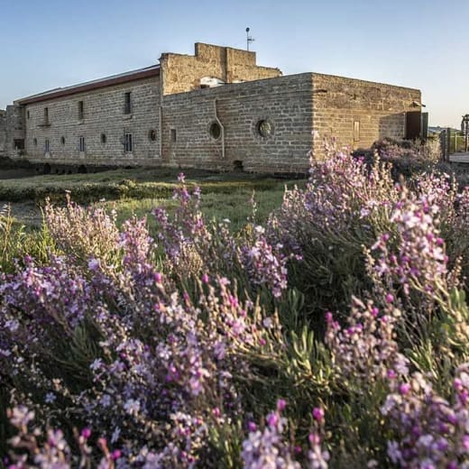 Aponiente by Ángel León à El Puerto De Santa Maria - Menu, avis, prix ...