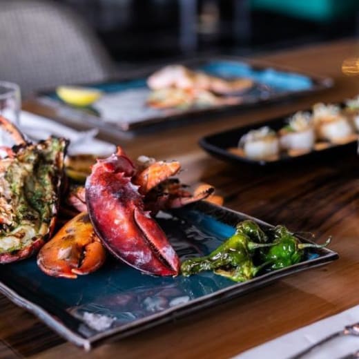 De beste Op het strand restaurants in Scheveningen, Den Haag | TheFork