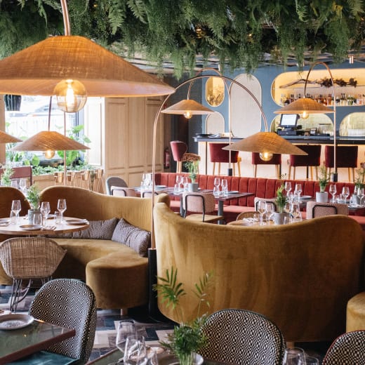 Restaurante Botania en Madrid - Menú 2025, opiniones, precios y reserva ...