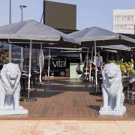 Carte et Menus 2025 - Vital à Las Palmas De Gran Canaria | TheFork