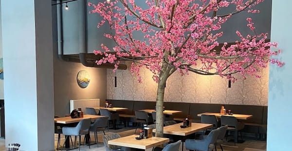Hitomi Q-Tower in Wien - Bewertungen, Speisekarte und Preise | TheFork