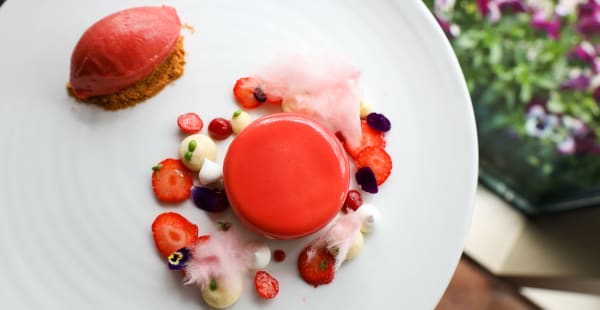 CUT at 45 Park Lane in London - Restaurant Reviews, Menu and Prices ...