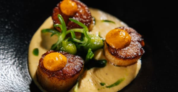 The Mayan in Birmingham - Restaurant Reviews, Menus, and Prices | TheFork