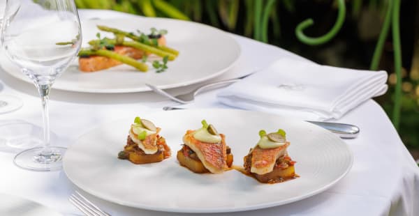 Le Petit Jardin - Le Gastronomique in Montpellier - Restaurant Reviews ...