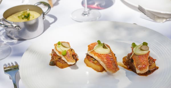 Le Petit Jardin - Le Gastronomique in Montpellier - Restaurant Reviews ...