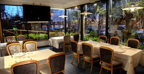 Restaurante Carta Marina en Madrid - Menú 2024, opiniones, precios y ...