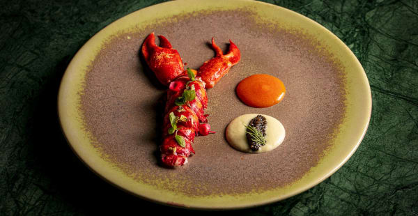 Inca London in London - Restaurant Reviews, Menu and Prices | TheFork