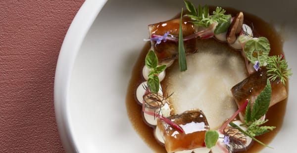 ALTO Ristorante a Fiorano Modenese - Menu, prezzi, immagini, recensioni ...