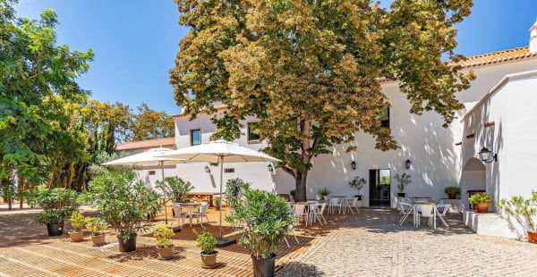 Restaurante Convent' Bio in Lagoa - Restaurant Reviews, Menu and Prices ...