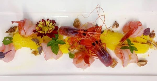 Carte et Menus 2023 - Terrazza Celè à Positano | TheFork