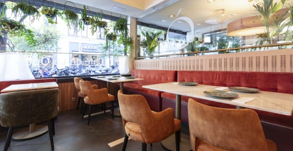 Restaurante El Café de la Ópera en Madrid - Menú 2024, opiniones ...