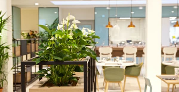 Restaurant Imagine à La Haye - Menu, avis, prix et réservation | TheFork