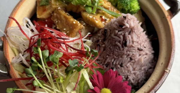 Viet Rice in Berlin - Restaurant Reviews, Menu and Prices | TheFork