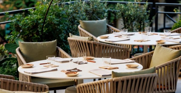 Orma Roma in Rome - Restaurant Reviews, Menu and Prices | TheFork