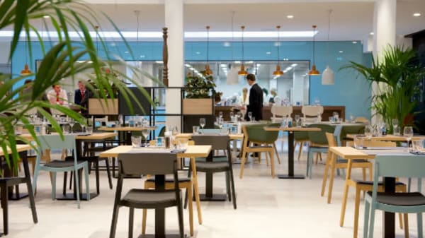 Menu - Imagine in The Hague - TheFork