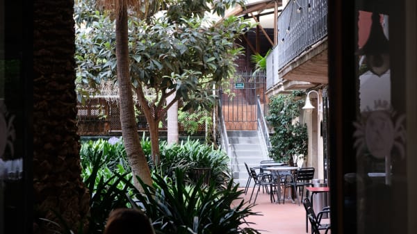 El Jardí de L'Ateneu in Barcelona - Restaurant Reviews, Menu and Prices ...