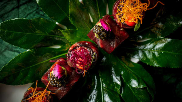 Inca London in London - Restaurant Reviews, Menus, and Prices | TheFork