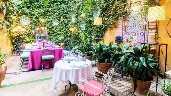 Restaurante Casa Manolo León en Sevilla - Menú 2023, opiniones, precios ...